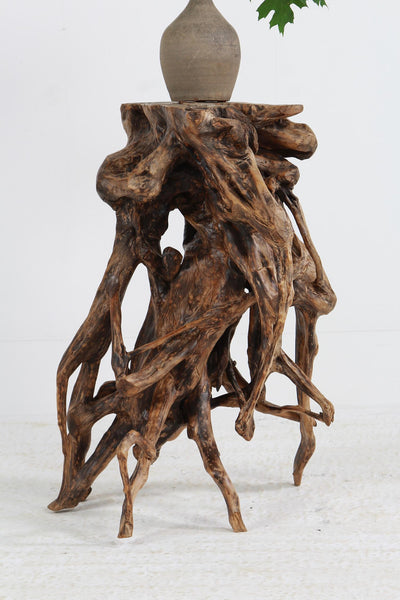 Rare Japanese Antique Wabi Wabi Tree Root Stand /Flower Stand or Side ...
